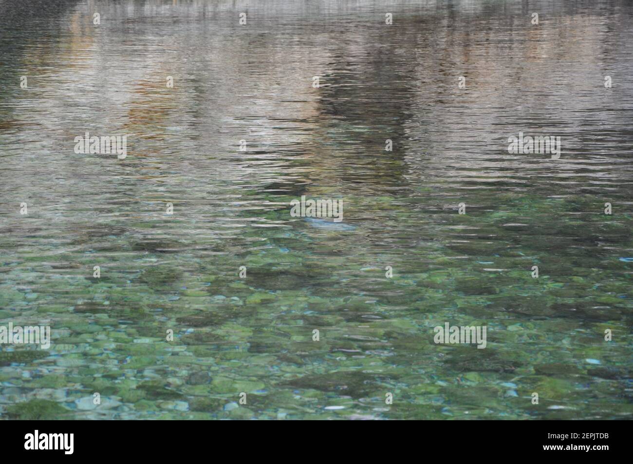 Emerald green sea water texture hi-res stock photography and images - Alamy