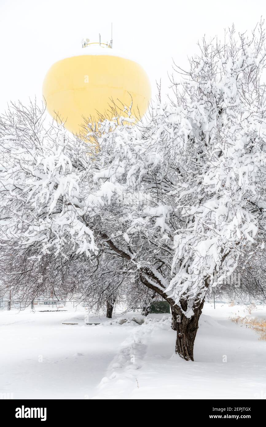 Town landmark water tower with winter trees Stock Photo - Alamy