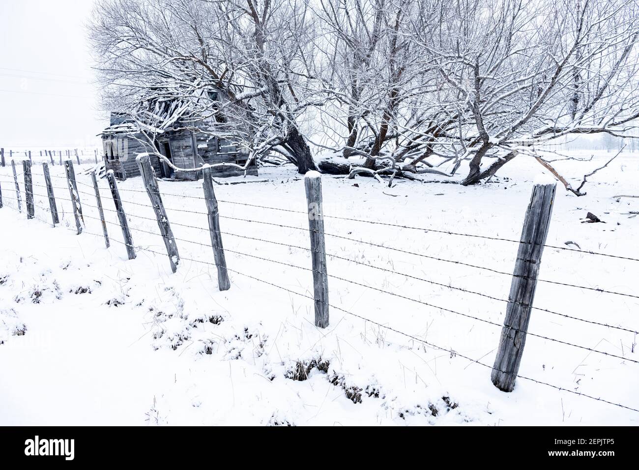 Building crushed by snow hi-res stock photography and images - Alamy