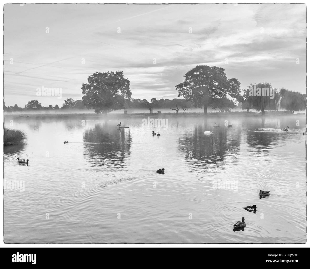 Misty water mist Cut Out Stock Images & Pictures - Alamy