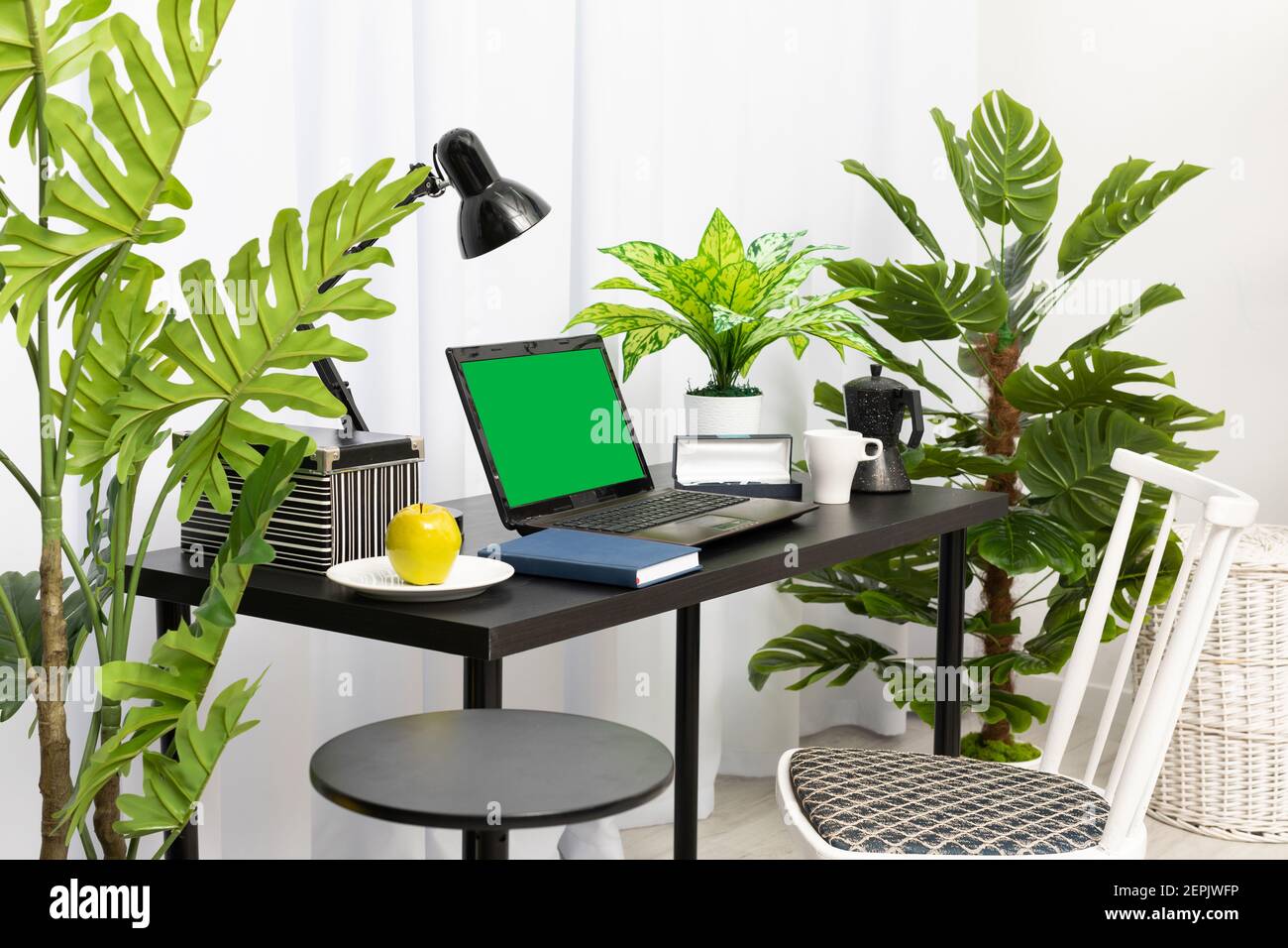 Remote work from home which requires a computer and a nice bowl that ...