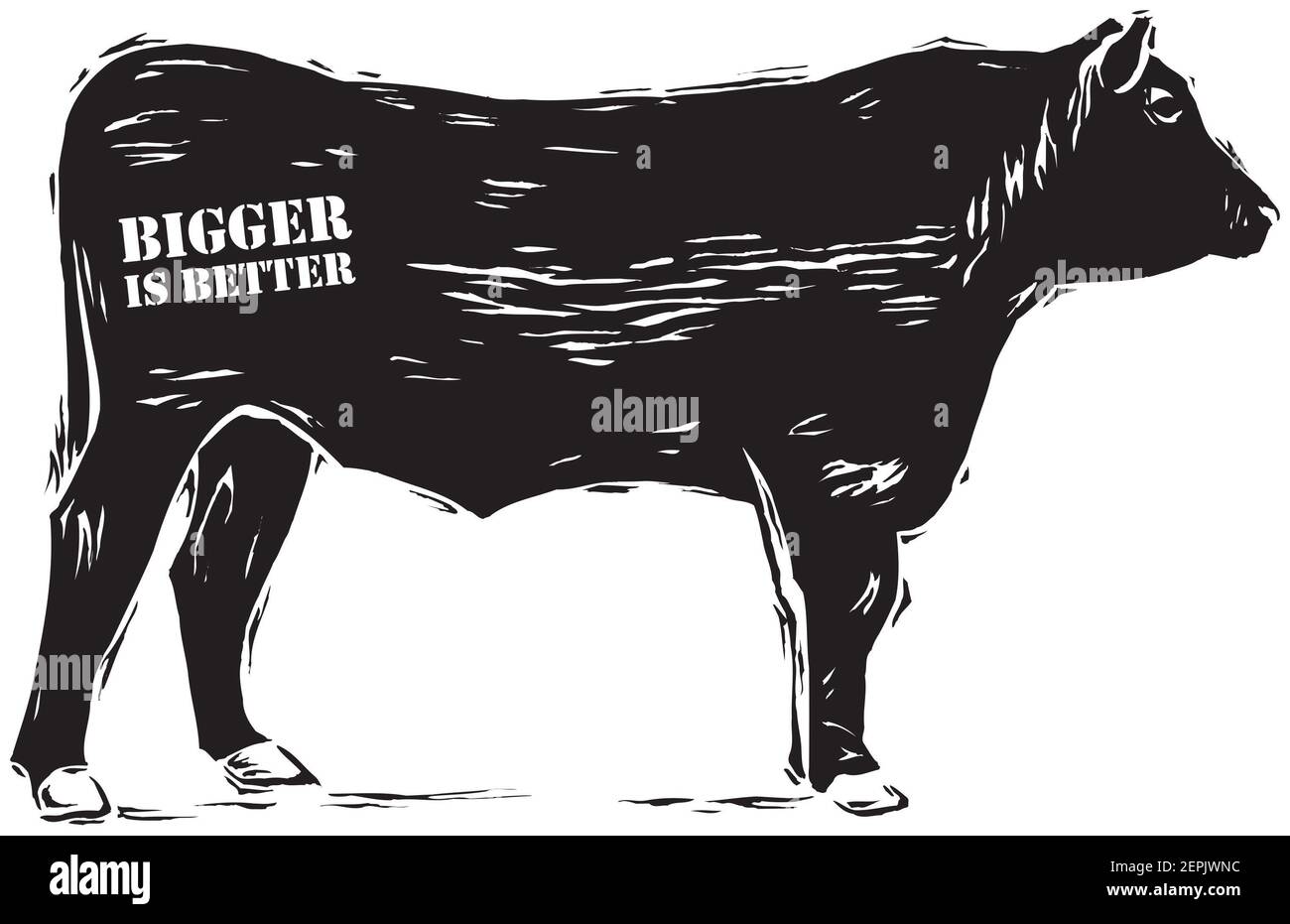 Bull shows that bigger is better Stock Photo - Alamy