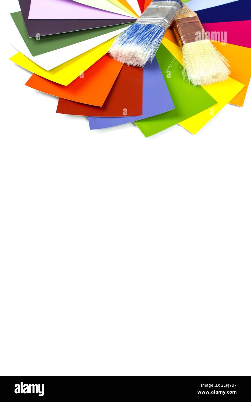 Color swatches and brushes on white background. Brushes with different ...