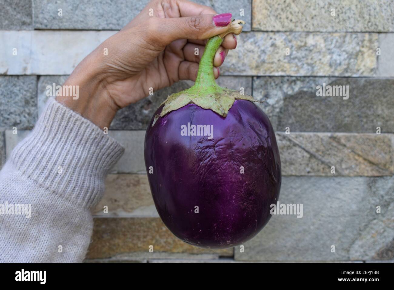 Baingan ka bharta hi-res stock photography and images - Alamy