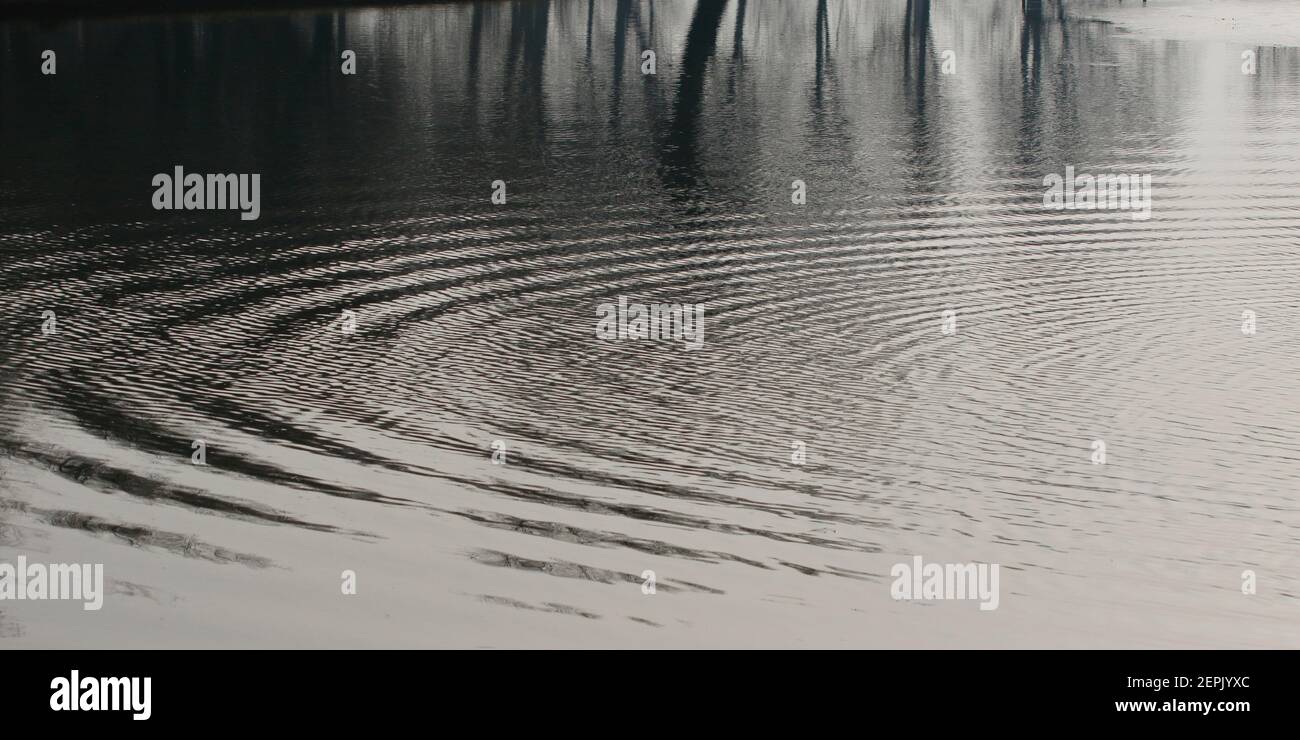 A stone causes annular waves in the water of a pond Stock Photo - Alamy