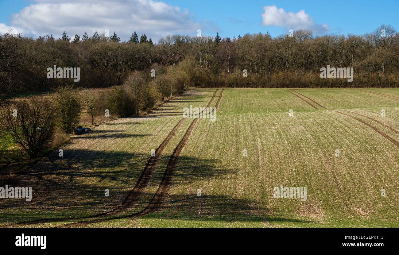 Crop sun blue sky hi-res stock photography and images - Alamy
