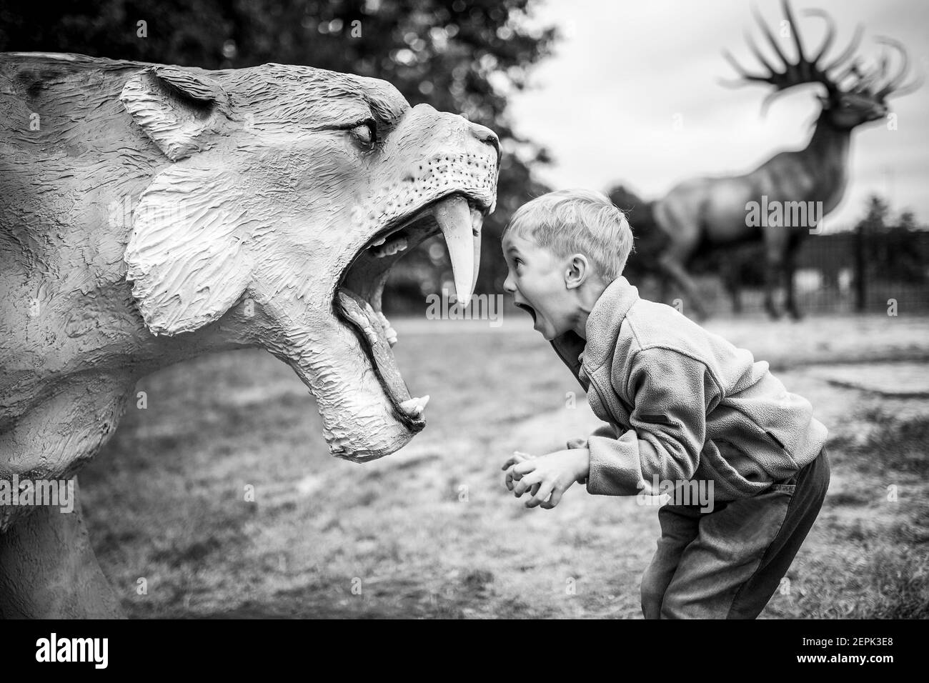 White Saber Toothed Tiger