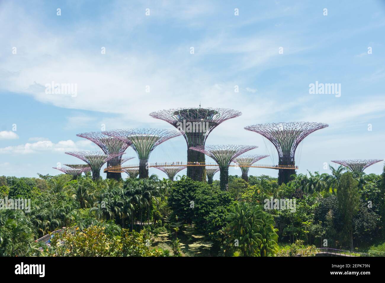 Super tree hi-res stock photography and images - Alamy