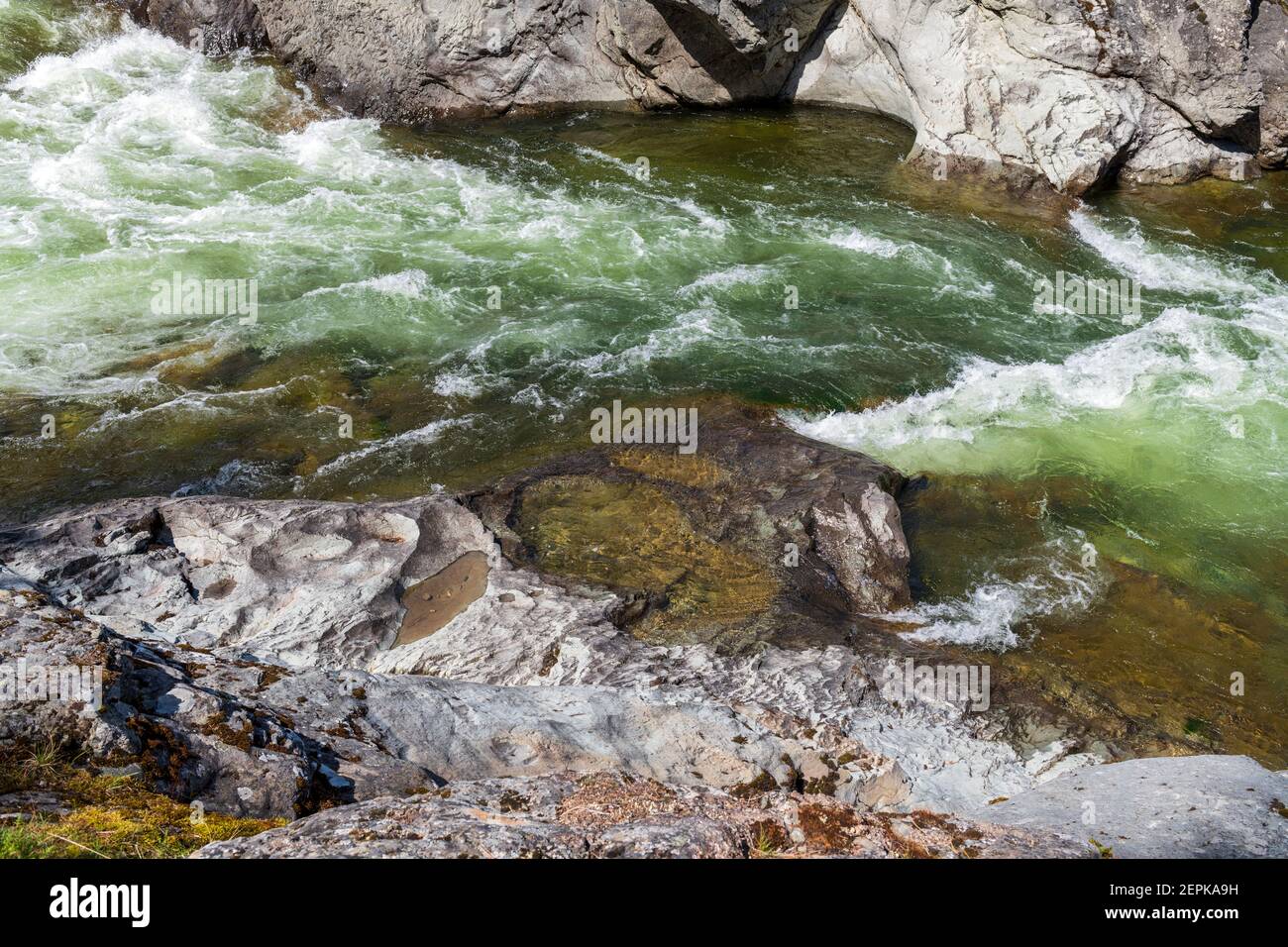 Whitewater canada columbia river hi-res stock photography and images ...