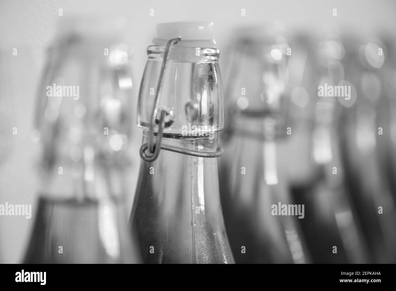 Black and white photo of a row of flip top bottles of home made cider ...