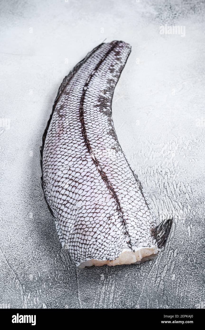 Grenadier fish hi-res stock photography and images - Alamy