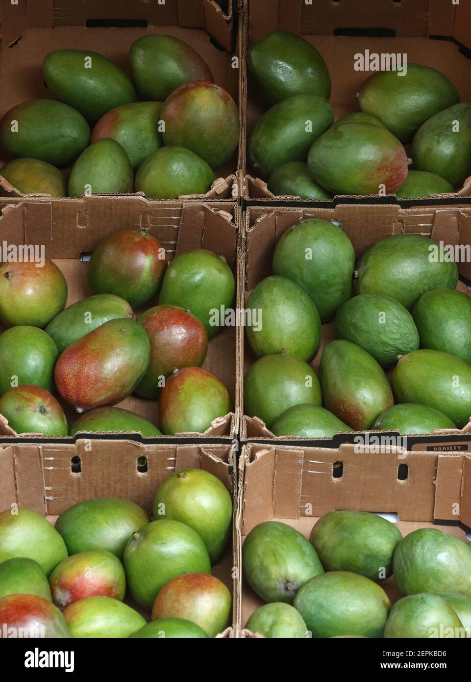 Mangoes for sale at a fruit shop Stock Photo - Alamy