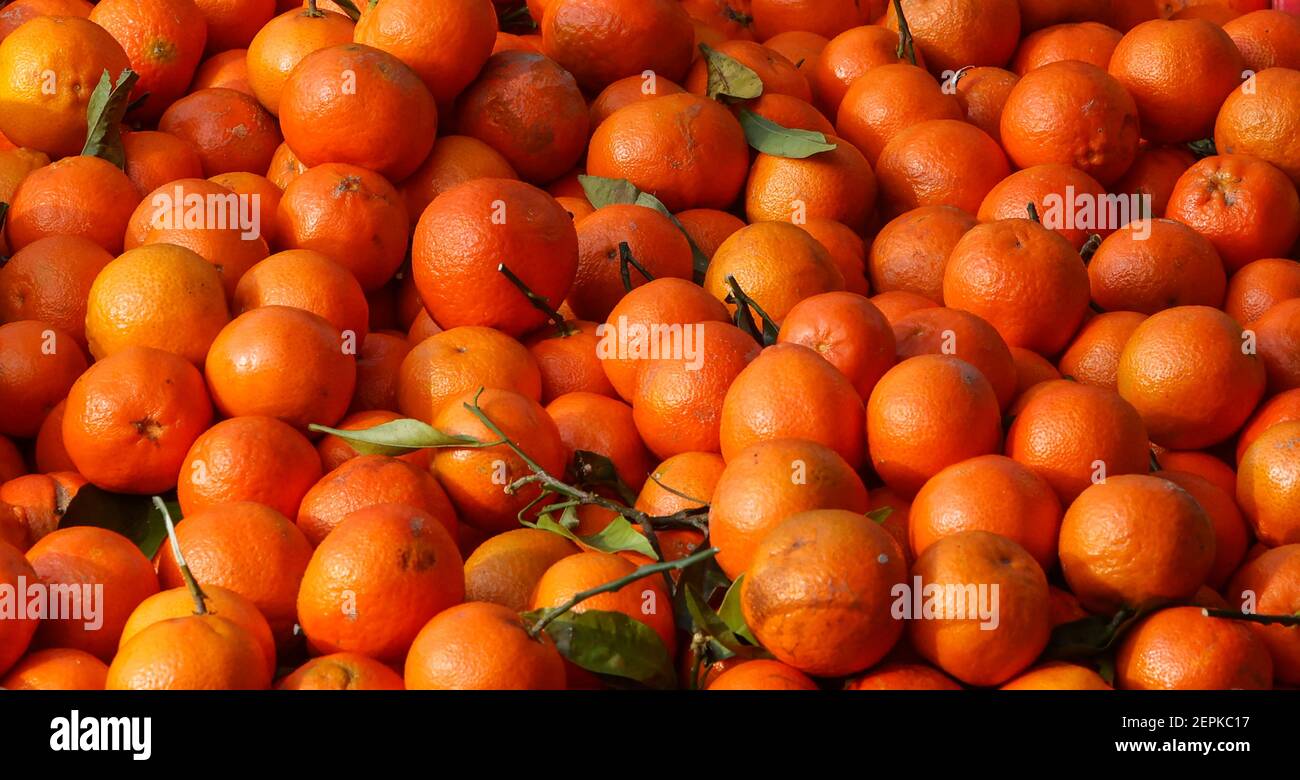 Tangerines for sale at a fruit shop Stock Photo - Alamy