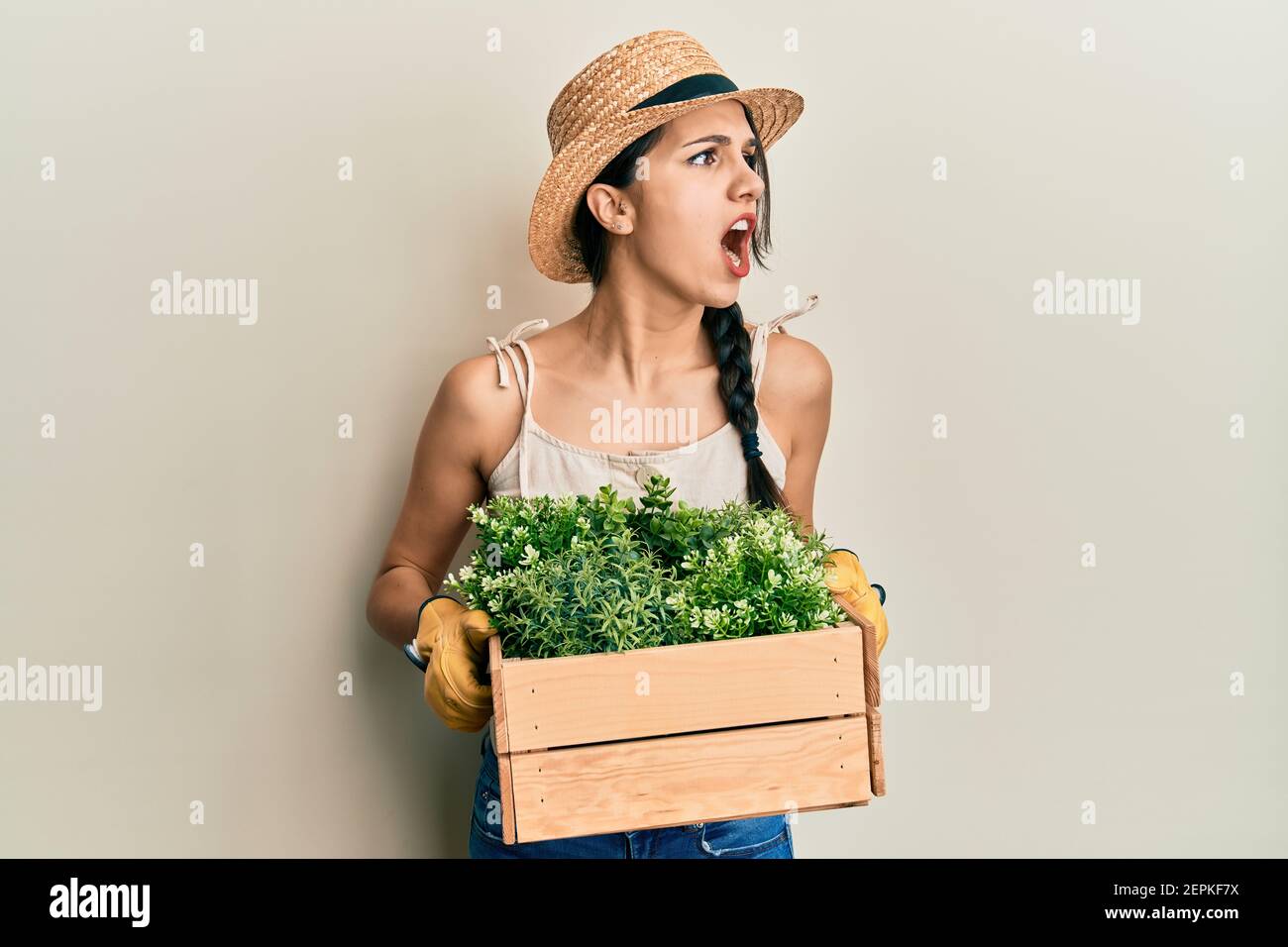 Young hispanic woman holding green plant pot angry and mad screaming ...