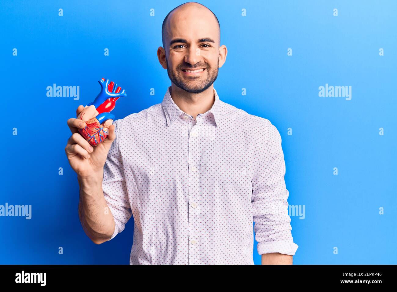 Young handsome bald man holding plastic organ heart looking positive ...