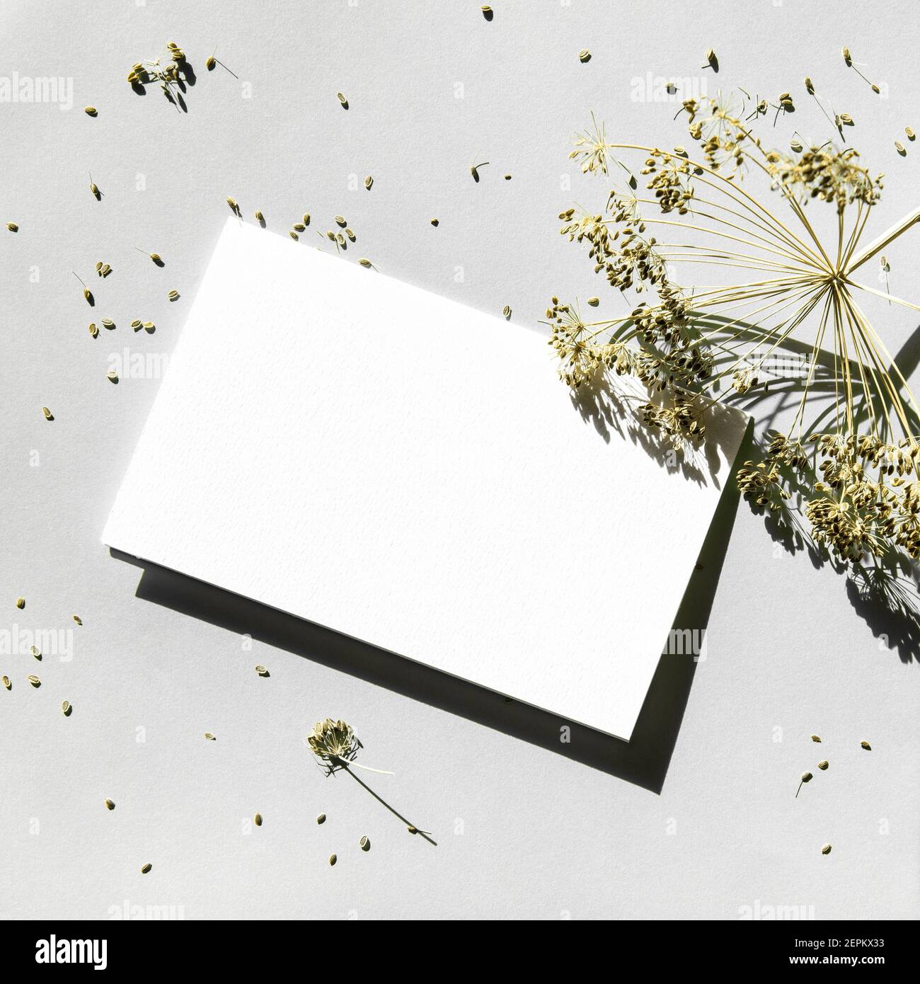 Floral paper texture hi-res stock photography and images - Alamy