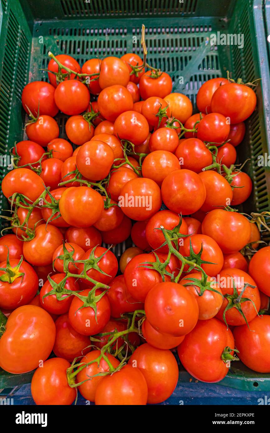 Fresh tomatoes in boxes on the supermarket counter Stock Photo - Alamy