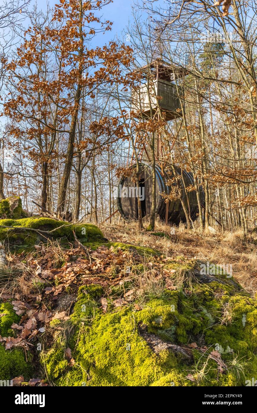 Hunting tower in the oak forest. Wildlife hunting. Hunting season. Observation tower Stock Photo ...