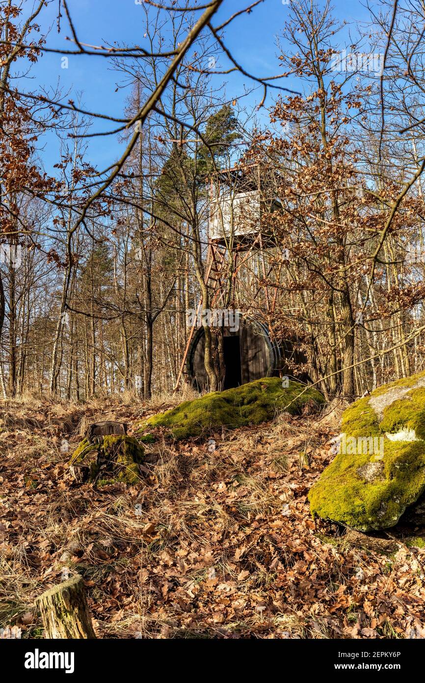 Hunting tower in the oak forest. Wildlife hunting. Hunting season ...