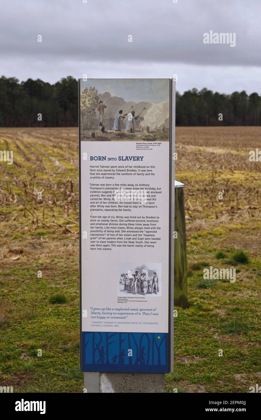 Brodess Farm. Site of Harriet Tubman's childhood home. The original ...