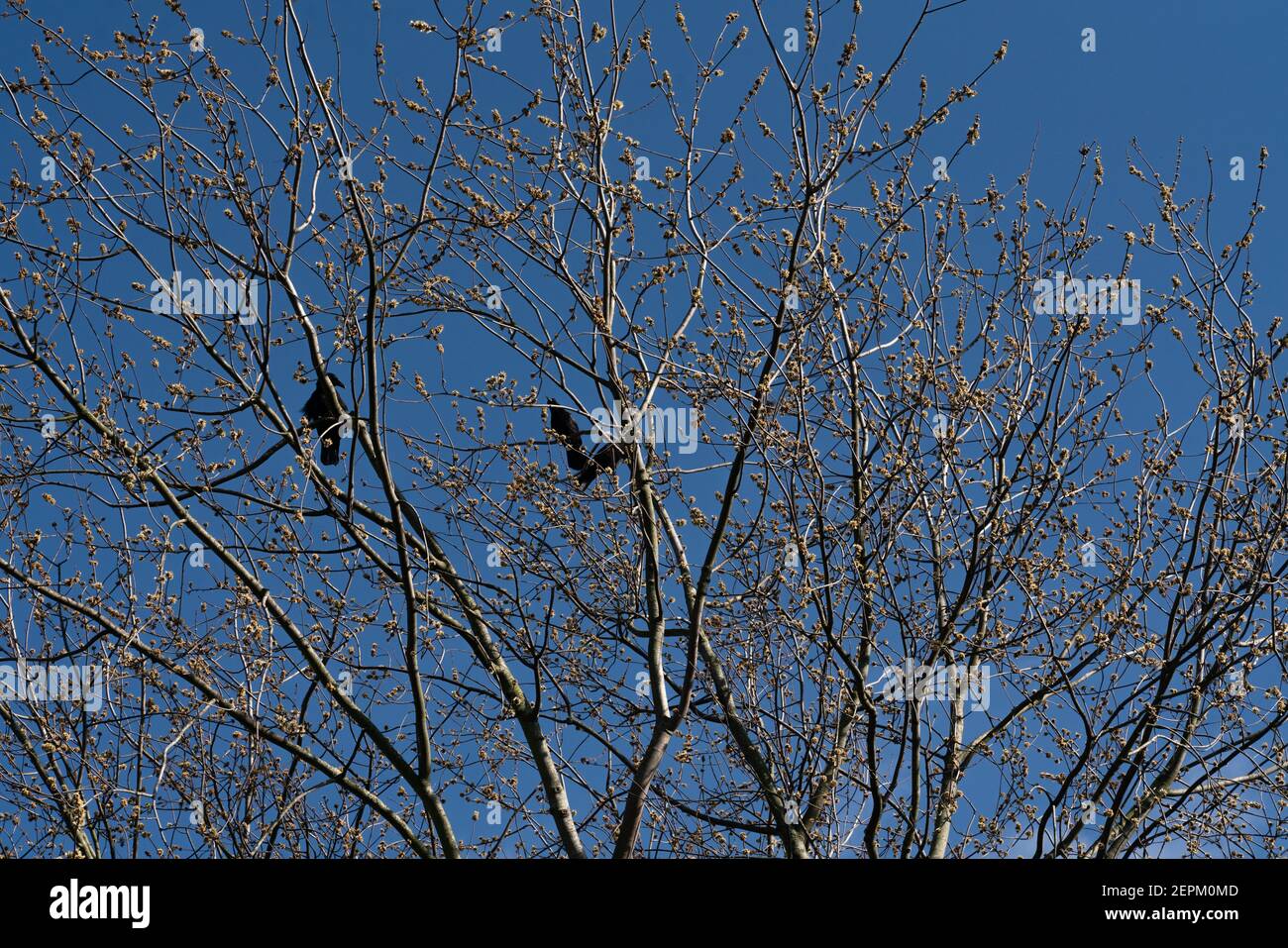 Brent river park brent hi-res stock photography and images - Alamy