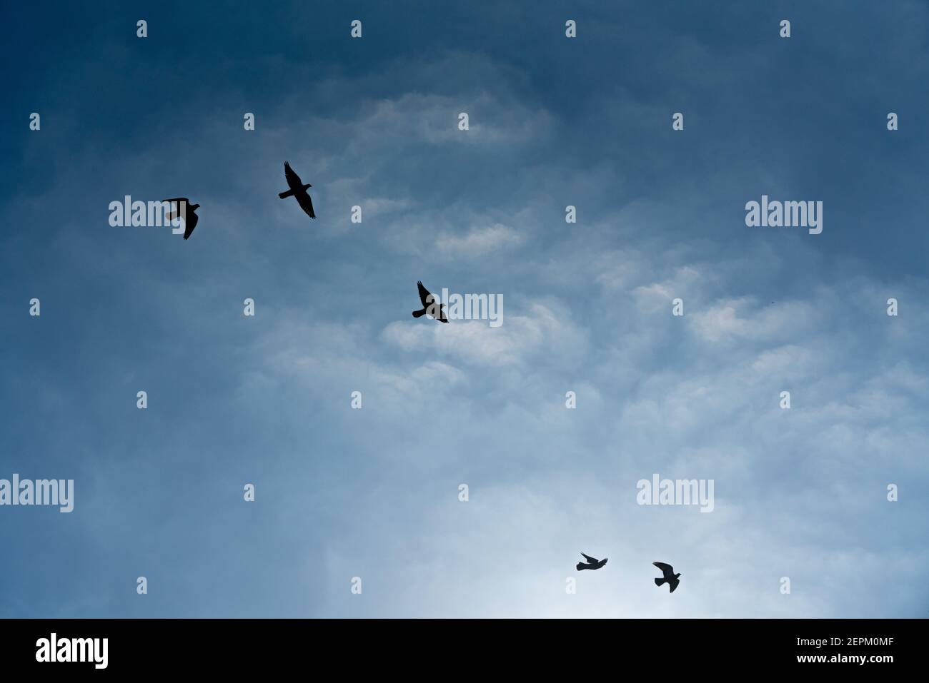 Brent river park brent hi-res stock photography and images - Alamy