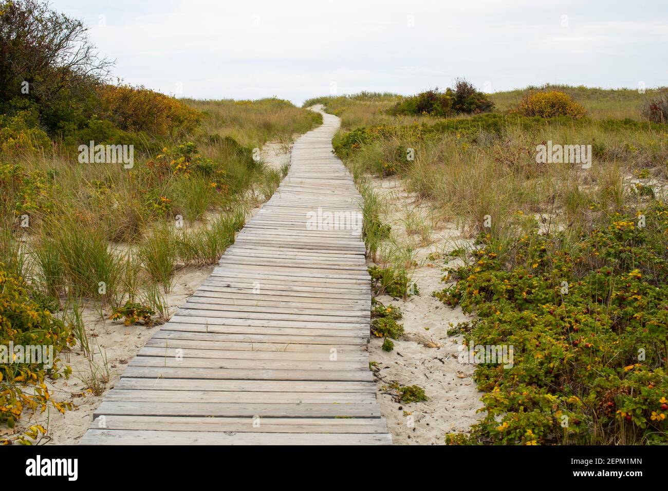 Nice wide beaches hi-res stock photography and images - Alamy