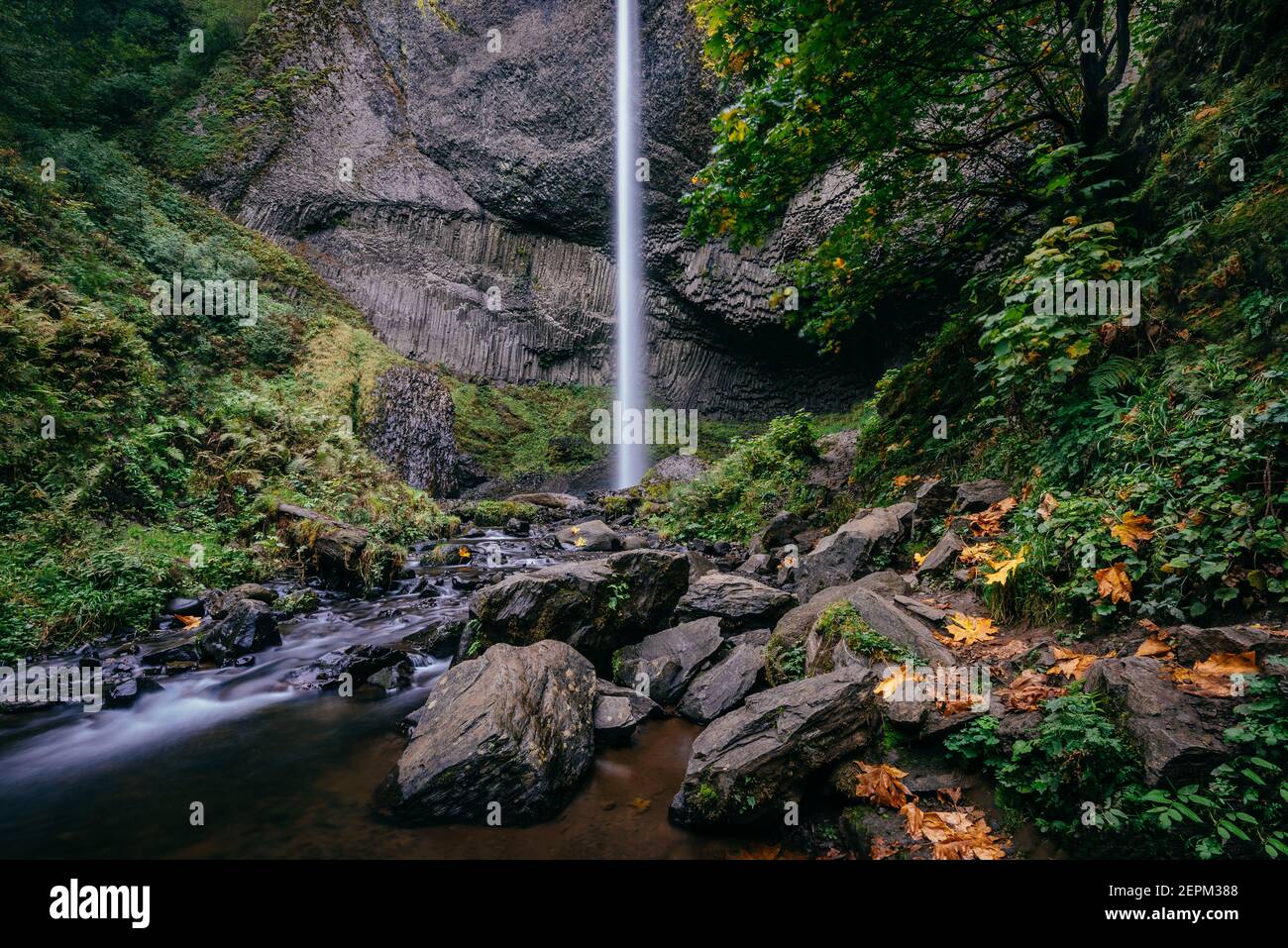 Columbia River Gorge, Oregon Stock Photo - Alamy