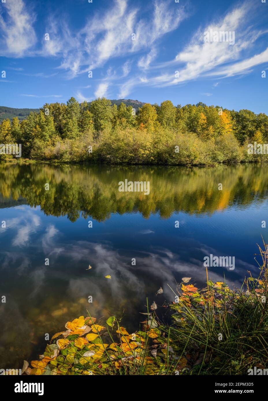 Easton ponds hi-res stock photography and images - Alamy