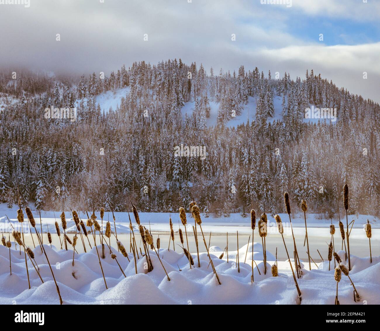 Easton washington hi-res stock photography and images - Alamy