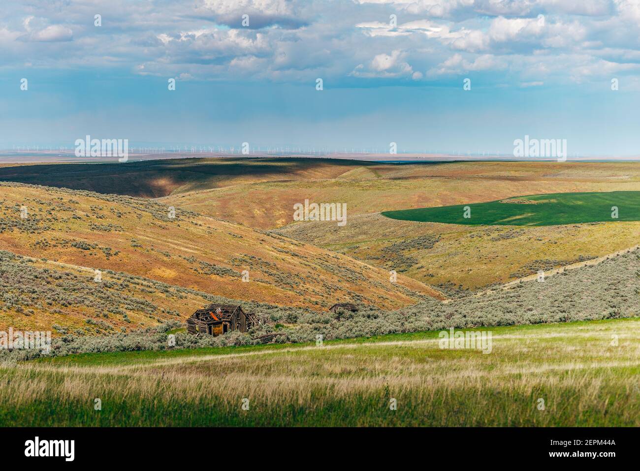 Gilliam county hi-res stock photography and images - Alamy
