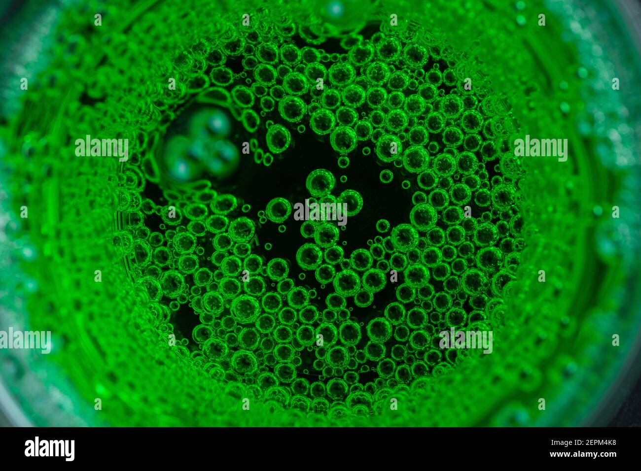 Green liquid with bubbles inside in a transparent cup Stock Photo - Alamy