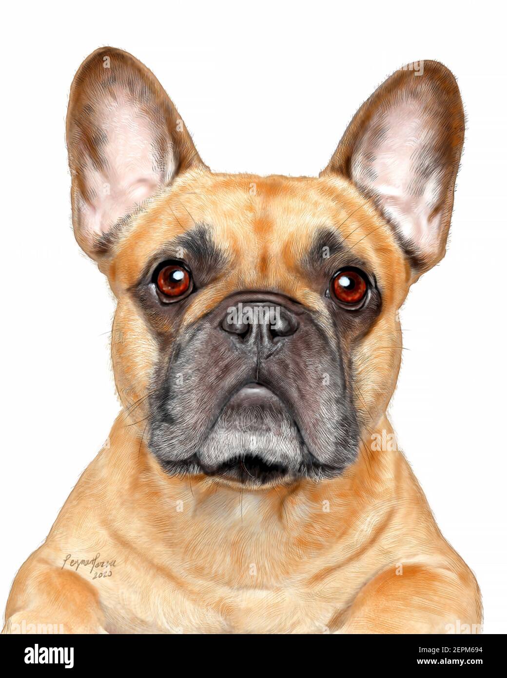 French Bulldog Dog Stock Photo - Alamy