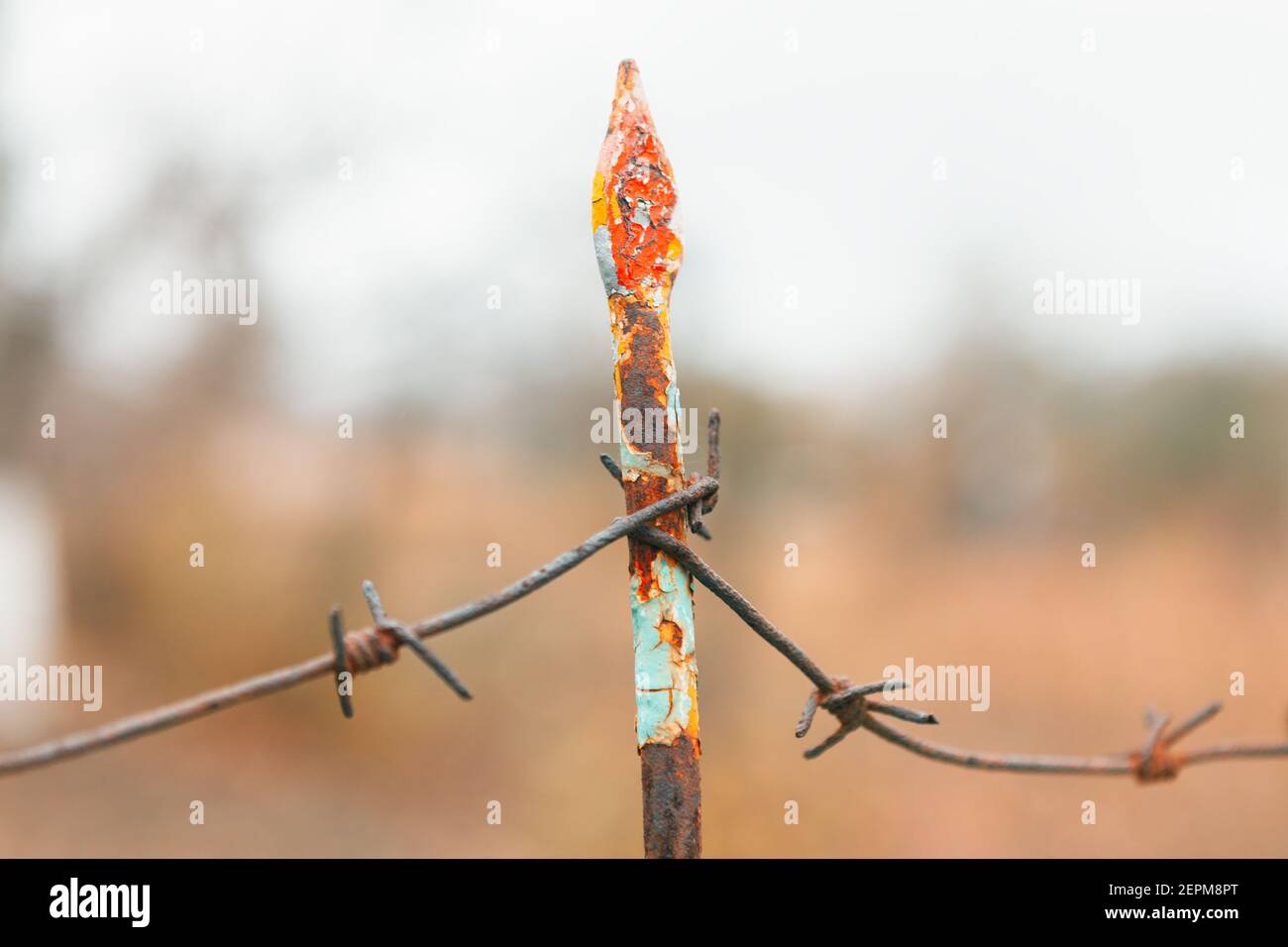 Barbed Wire with Metal Pin . Sharp part of the prison fence Stock Photo ...