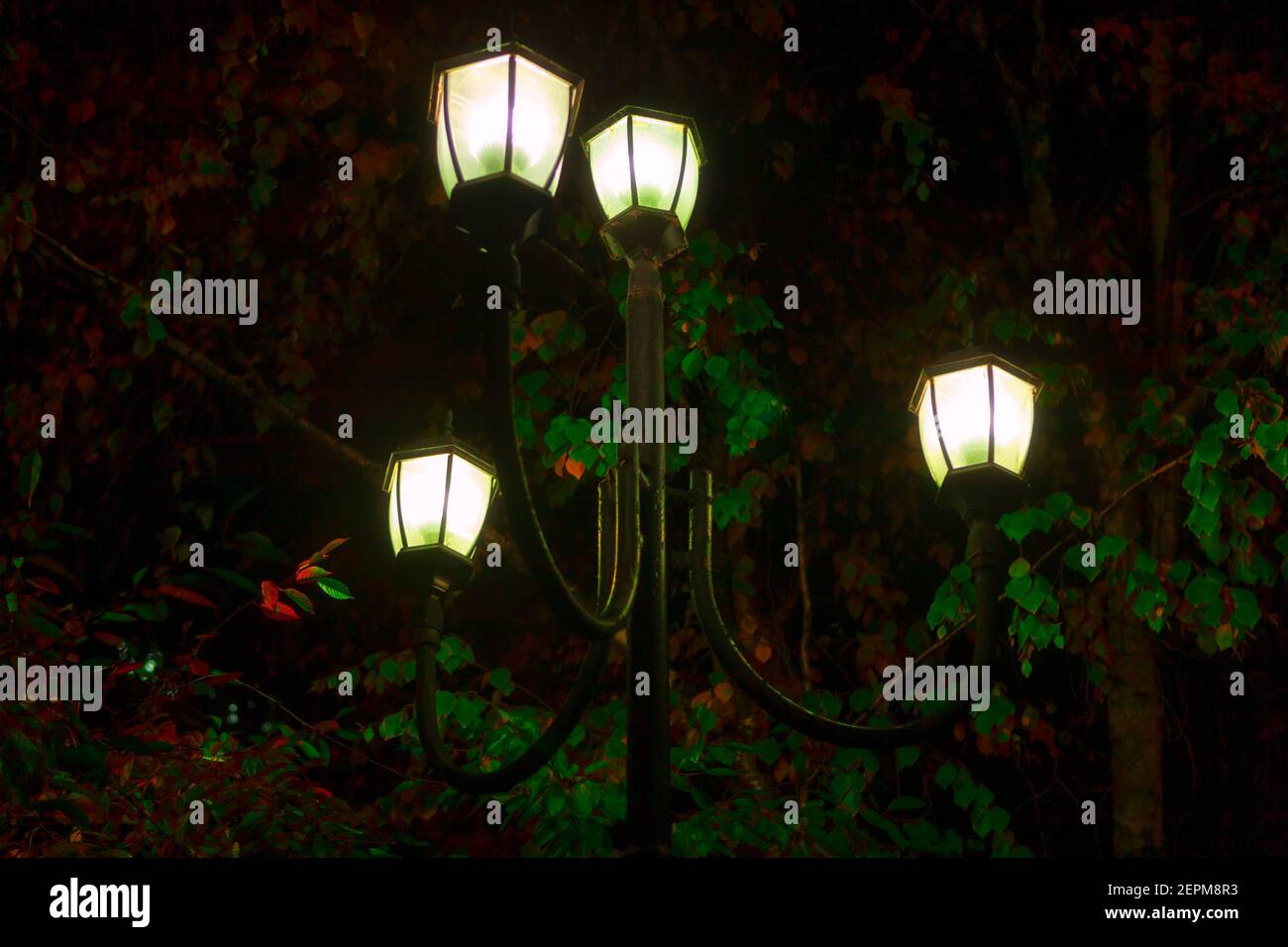 Park Lamps High Resolution Stock Photography and Images - Alamy