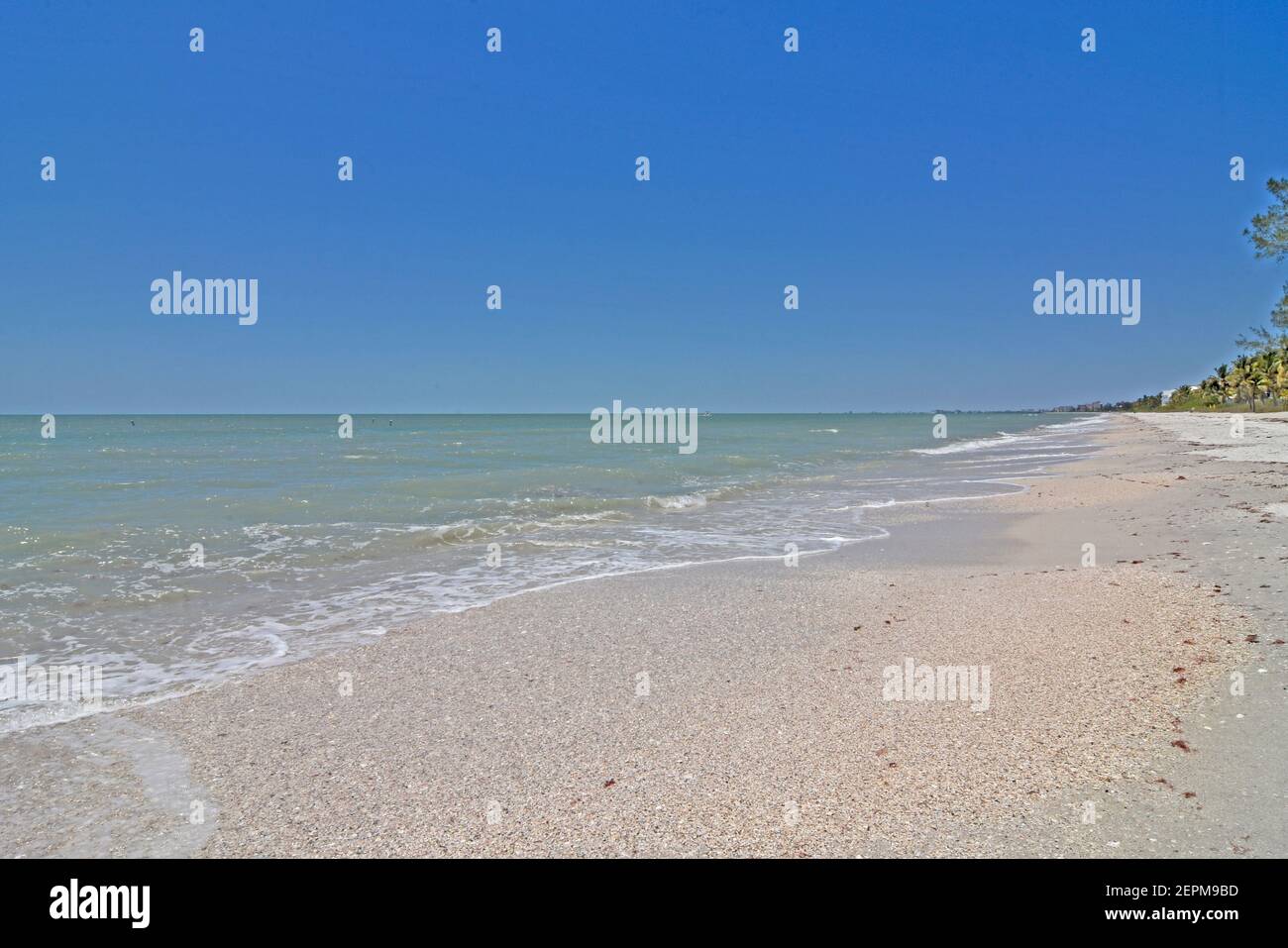 Alamysucks hi-res stock photography and images - Alamy