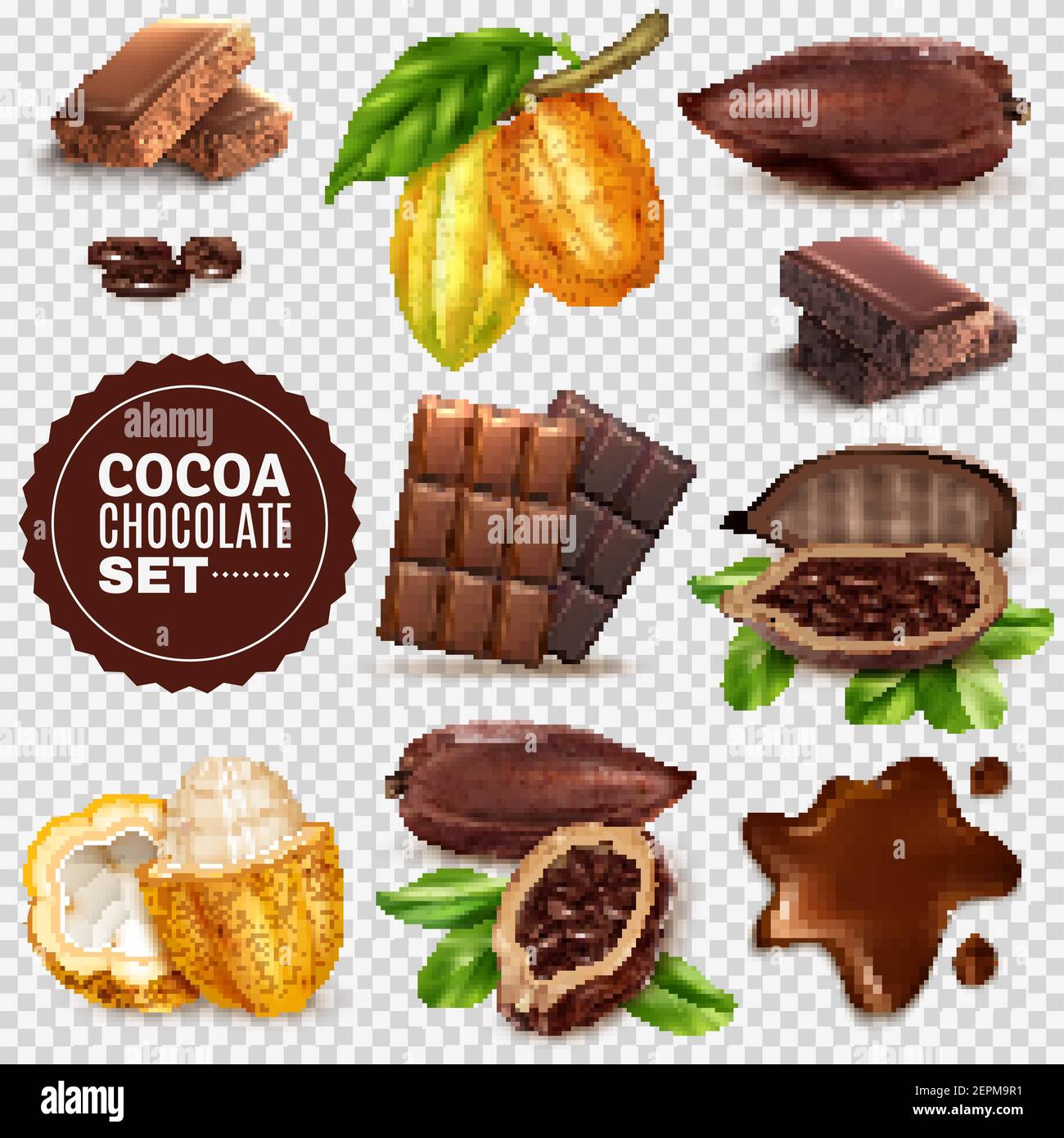 Set of realistic fresh and dried cocoa pods with seeds, chocolate ...