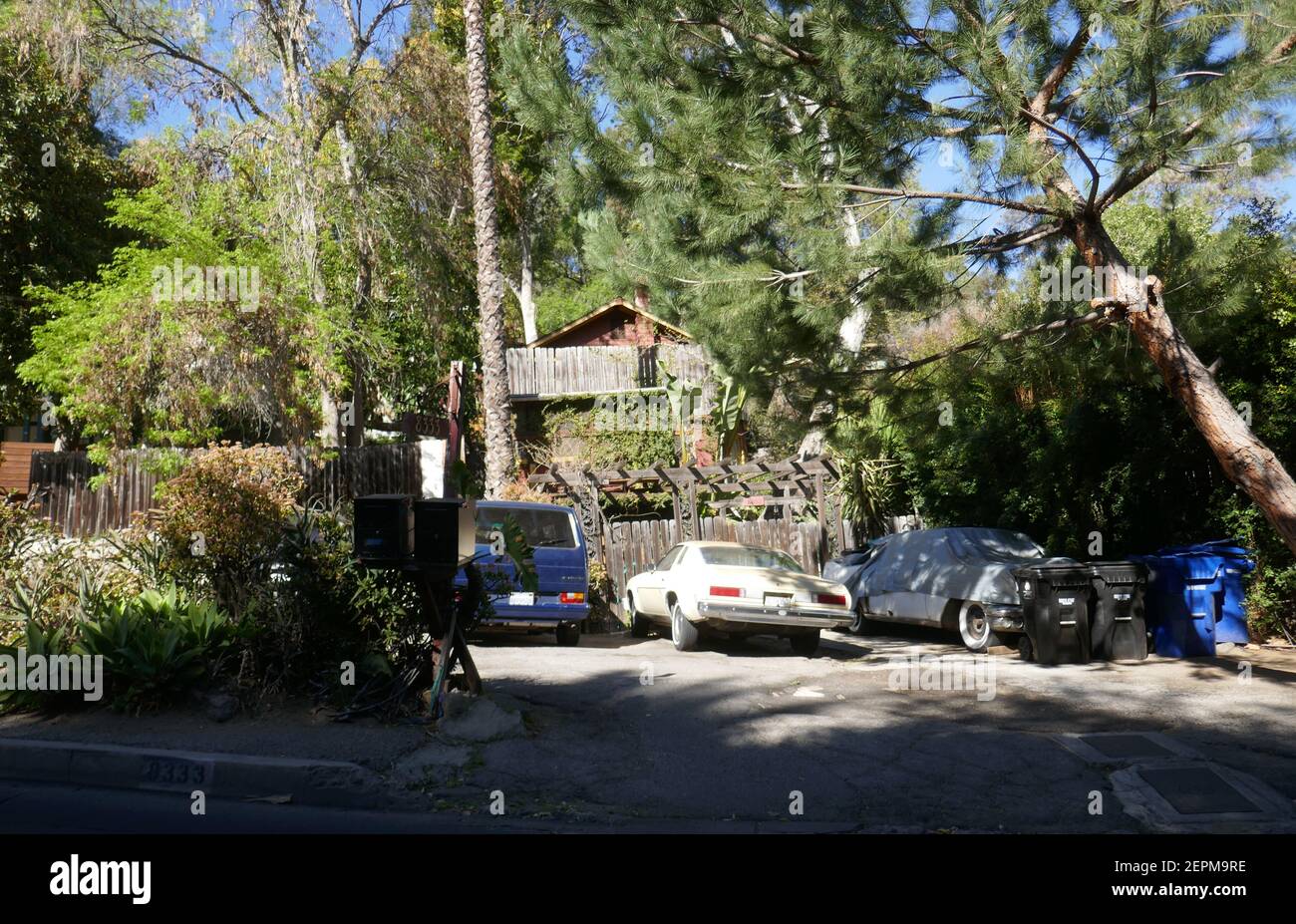 David nash trees hi-res stock photography and images - Alamy