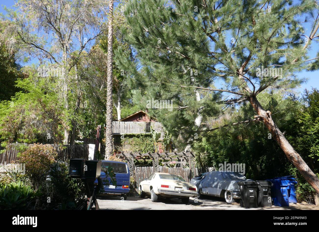 David nash trees hi-res stock photography and images - Alamy