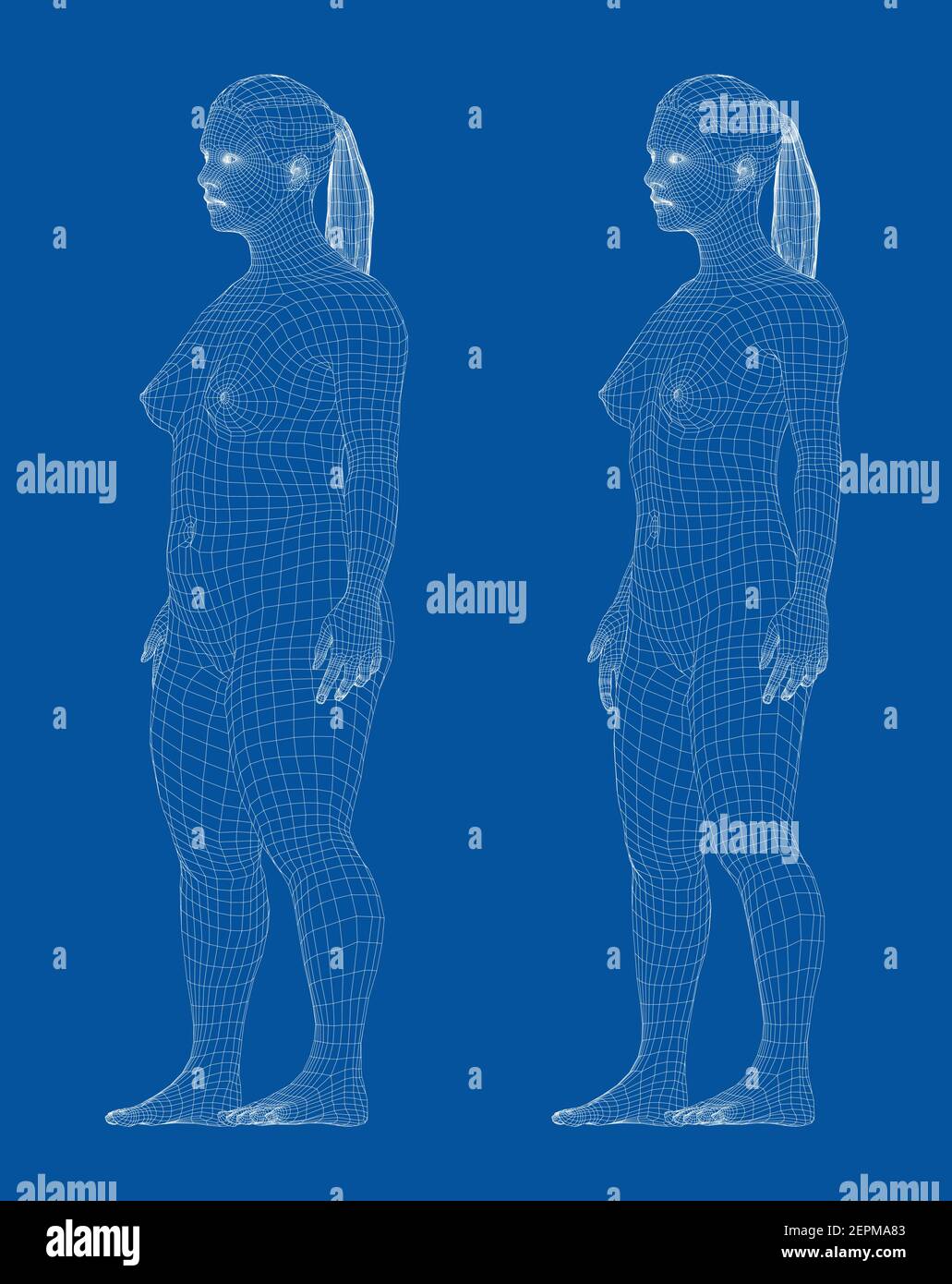 Fat And Slim Woman Before And After Weight Loss Stock Vector Image