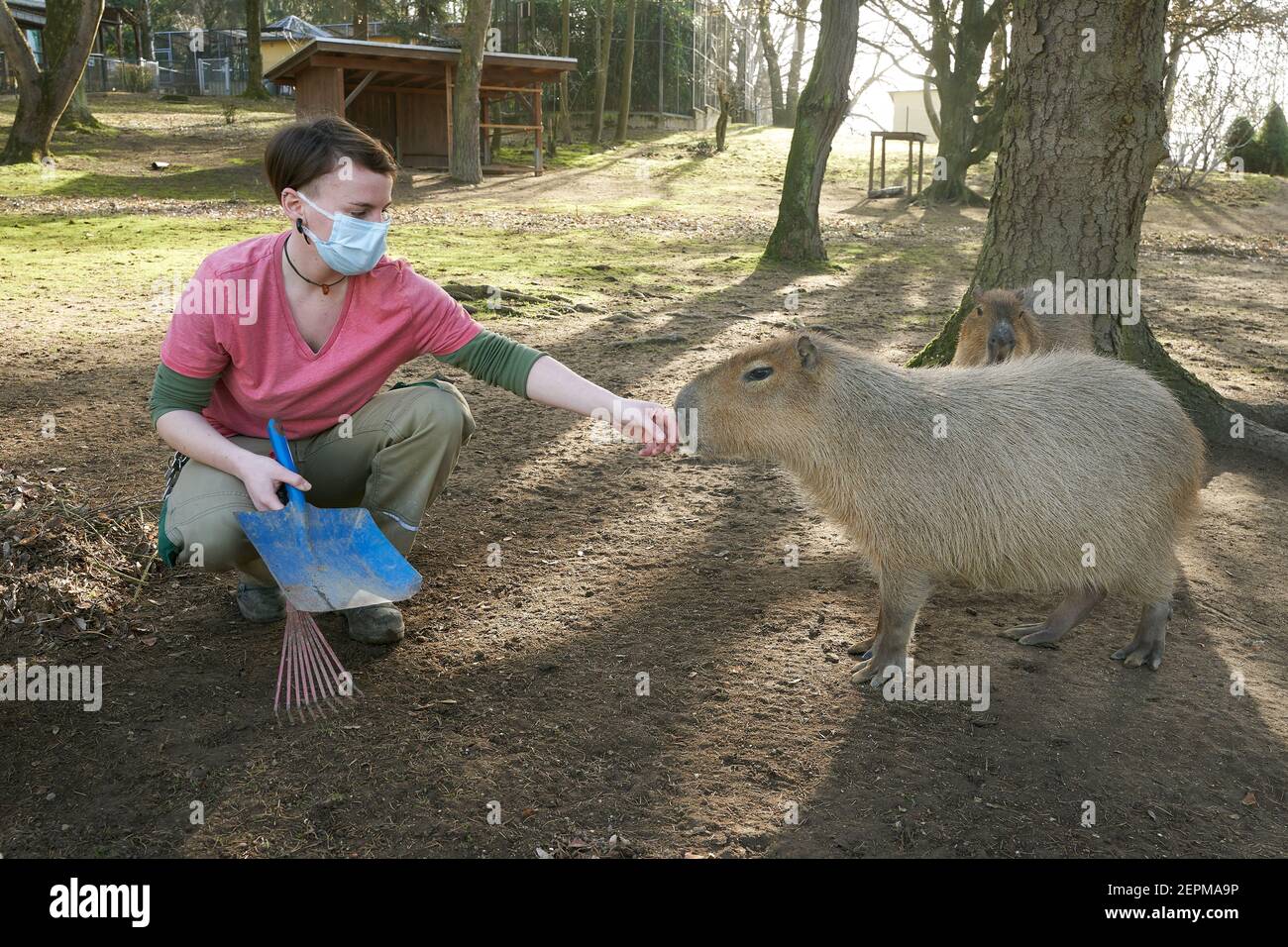 Keeper of the swans hi-res stock photography and images - Alamy
