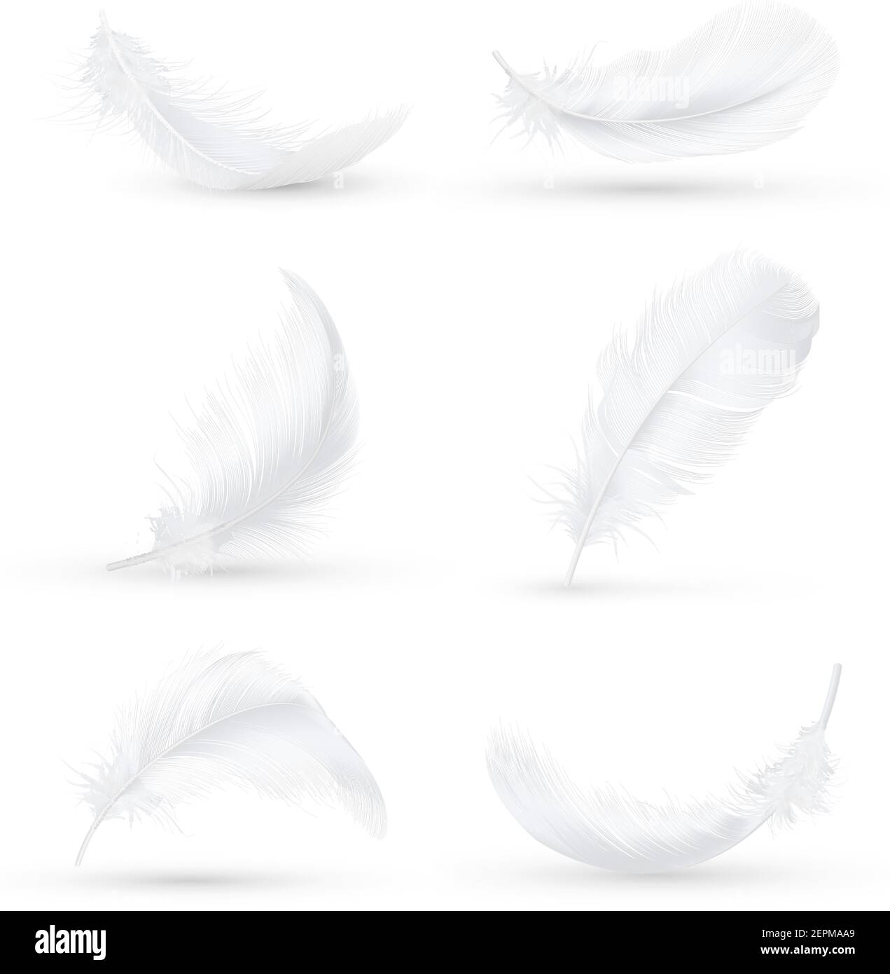 Realistic white bird feathers images set in 6 various positions and ...