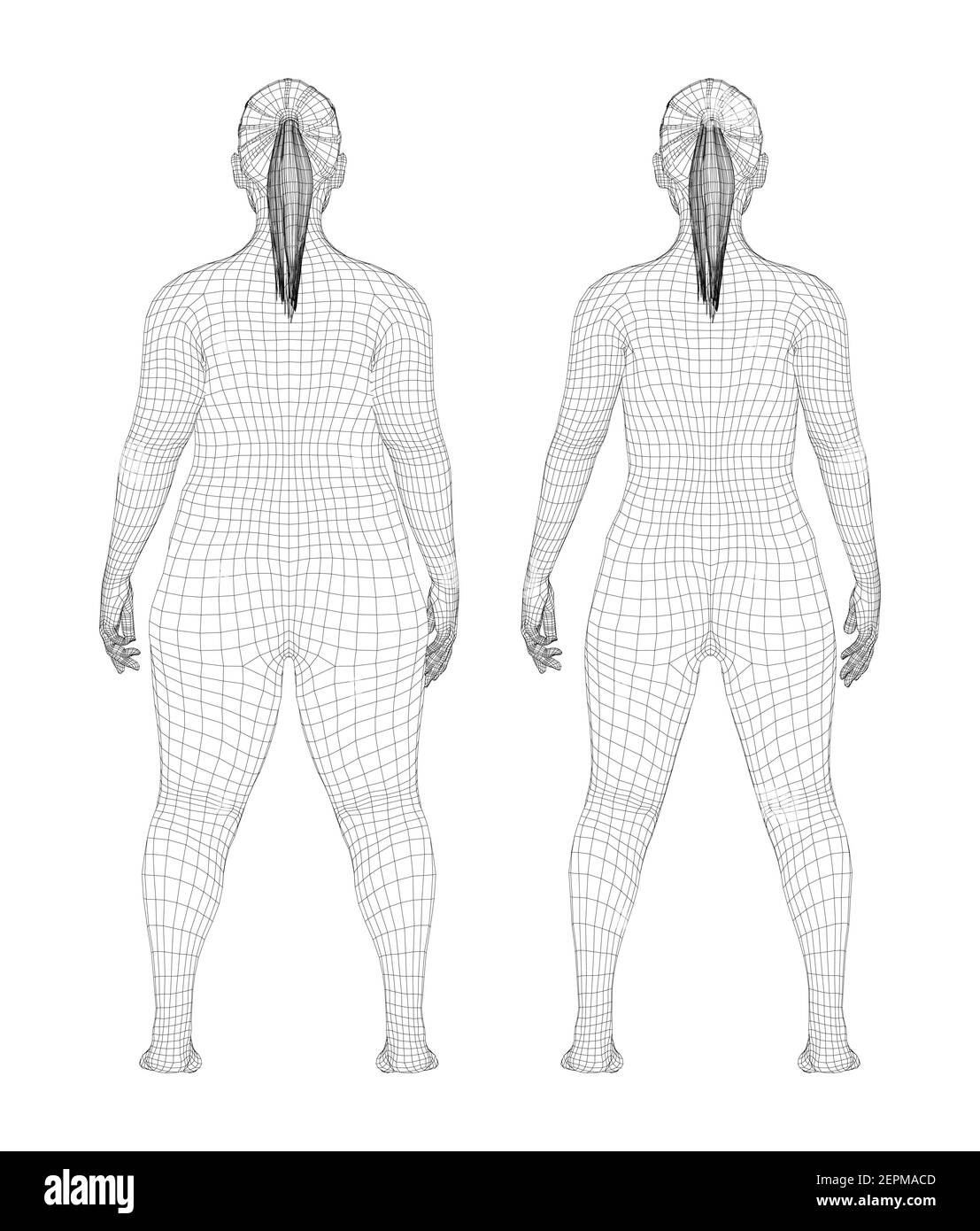 Fat and slim woman, before and after weight loss Stock Vector Image ...