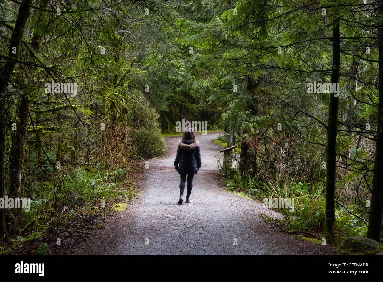 Girl Walking in the Canadian Rain Forest Stock Photo - Alamy