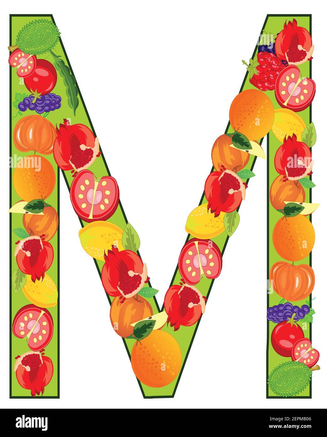 Vector illustration of the letter M english of the alphabet from ...