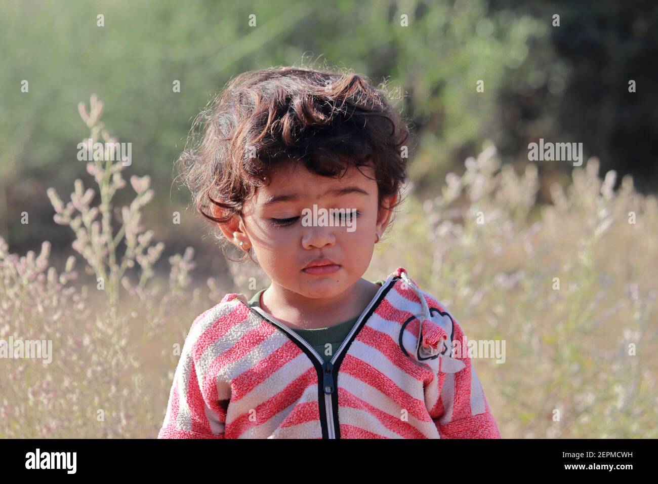 A beautiful little Indian child stands in the field and the natural ...