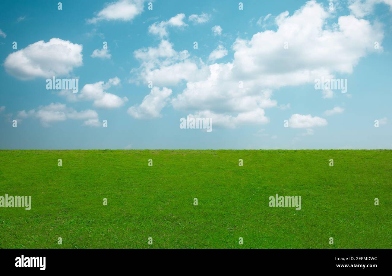 An empty green grass field with blue sky and white clouds Stock Photo ...