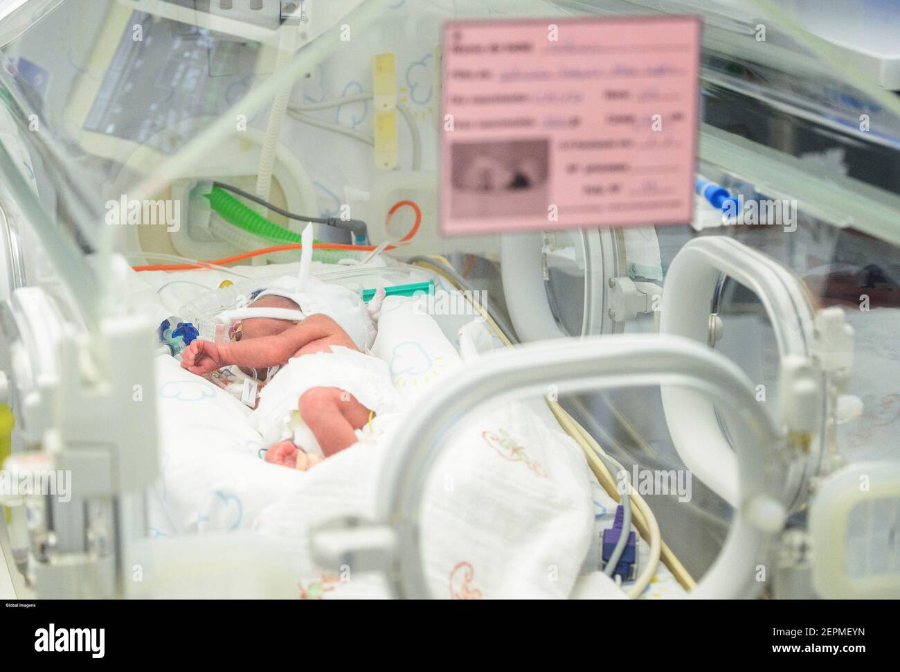 Porto, 01/01/188 - First Baby of the Year is called LetÃ­cia, and was ...
