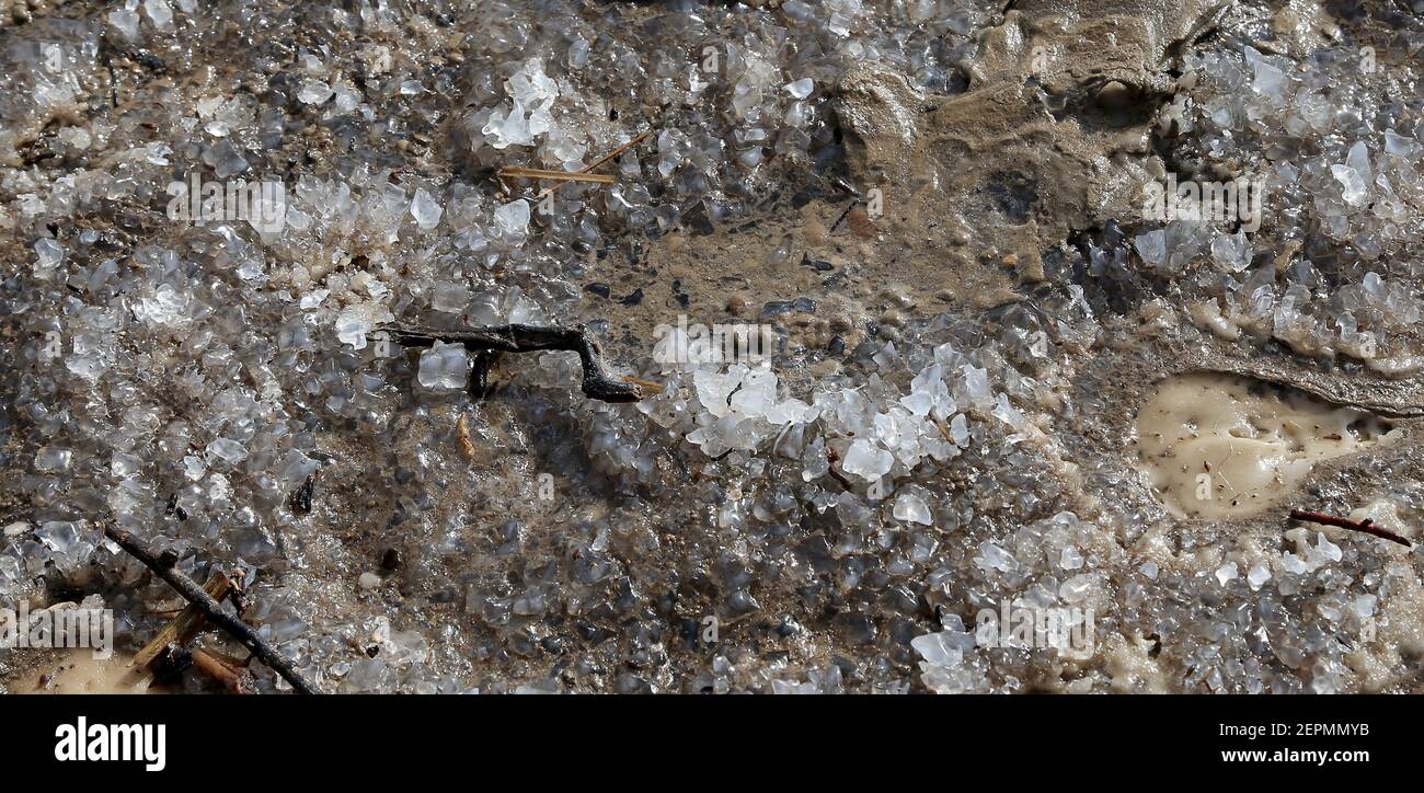 The medical mud on the shore of the Dead Sea, Jordan Stock Photo - Alamy