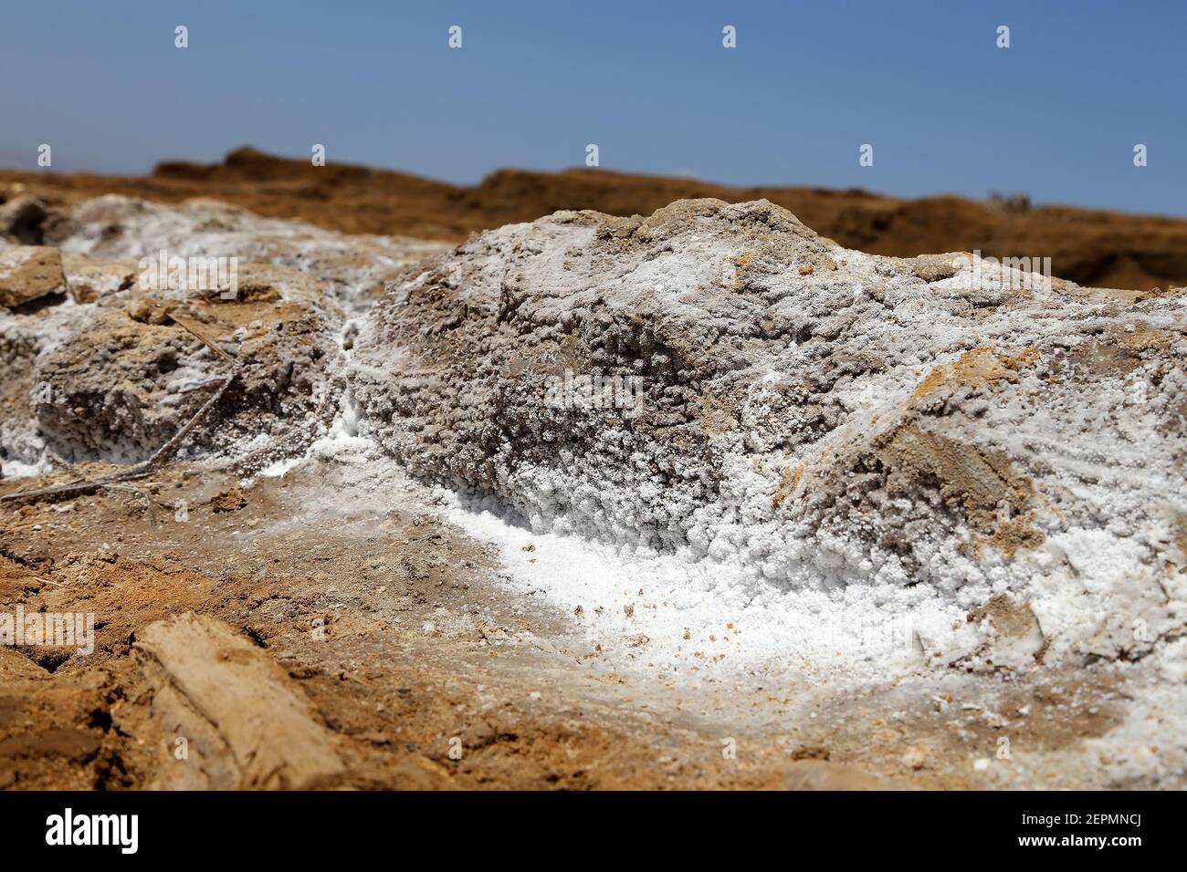 dead sea salt at Jordan, Middle East Stock Photo - Alamy